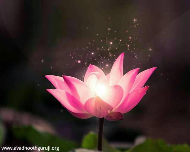 Avadhooth Guruji | Lokah Samastah Sukhino Bhavantu